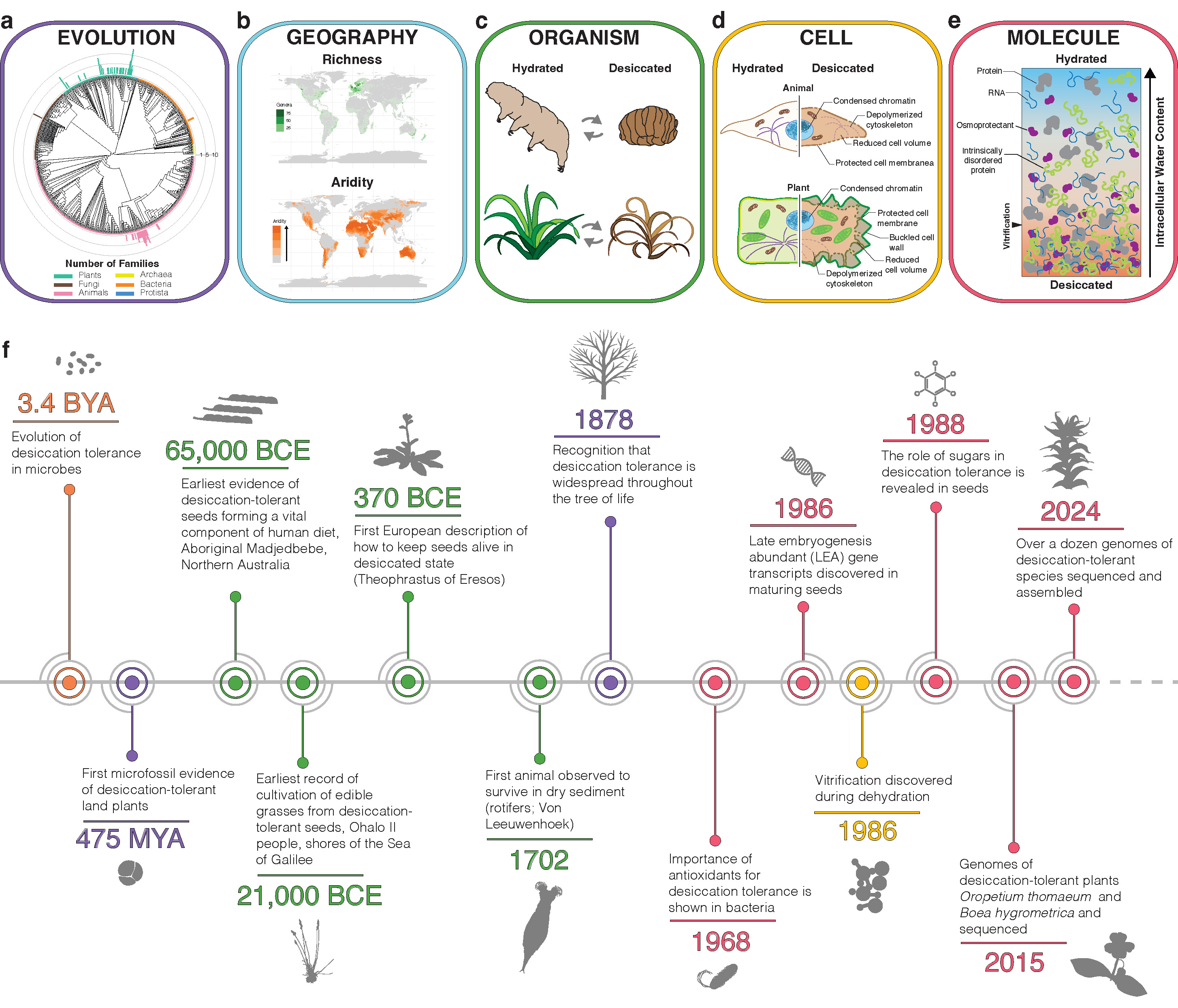 Life on the dry side: a roadmap to understanding desiccation tolerance and accelerating ...